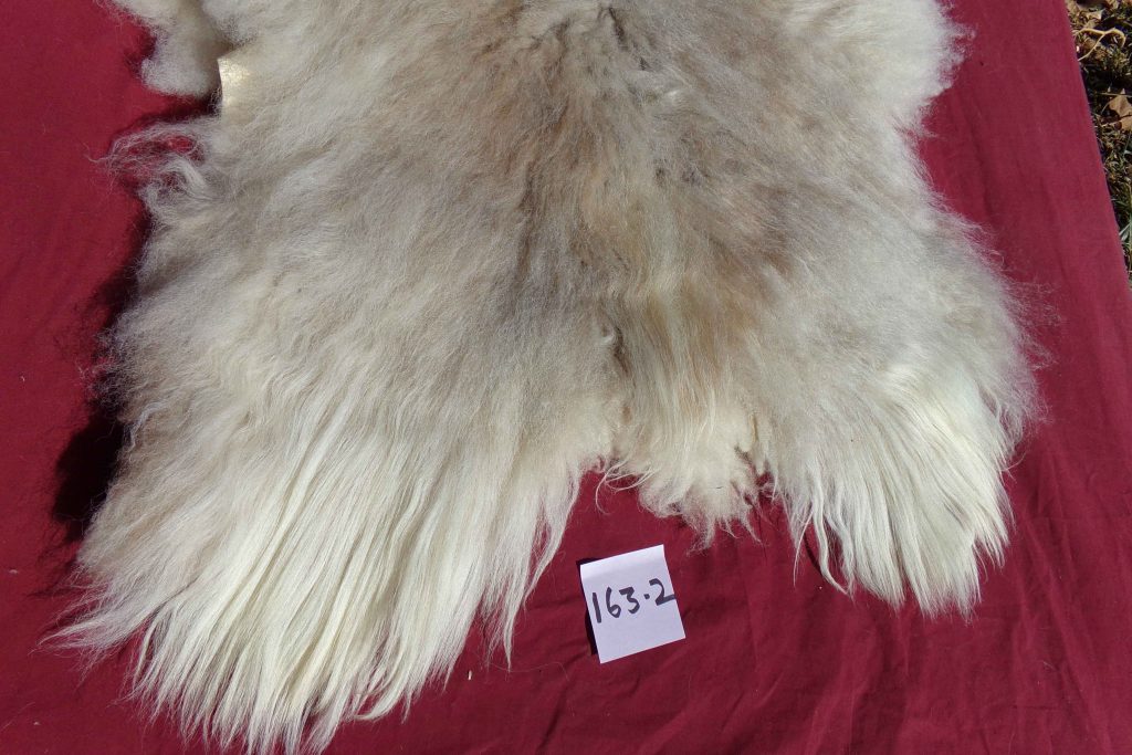 Navajo-Churro Sheepskin Pelts – Arriola Sunshine Farm