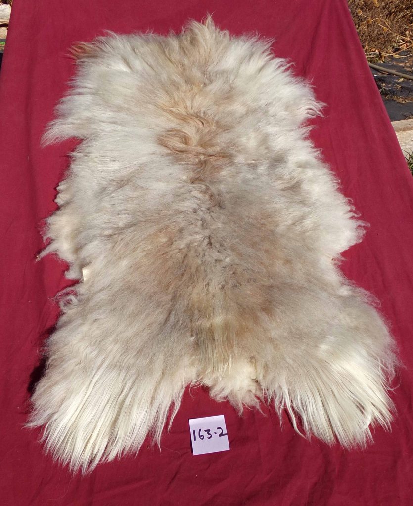 Navajo-Churro Sheepskin Pelts – Arriola Sunshine Farm